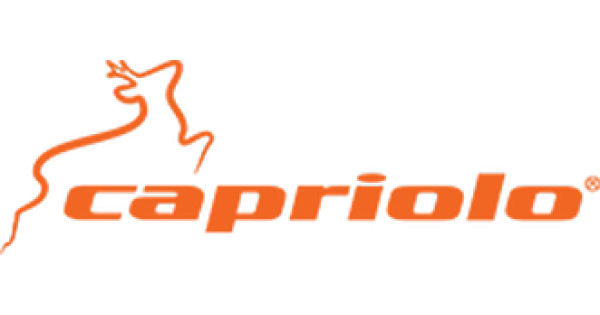 Capriolo